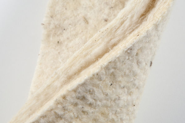 How animals help us create materials on World Animal Day - MaterialDistrict