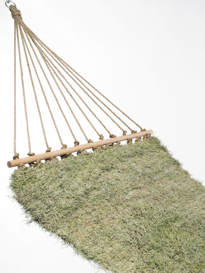 Naturalise: a hammock made from soilless, living plants 6 ...