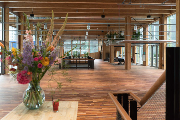 Recycled wood laminate - MaterialDistrict