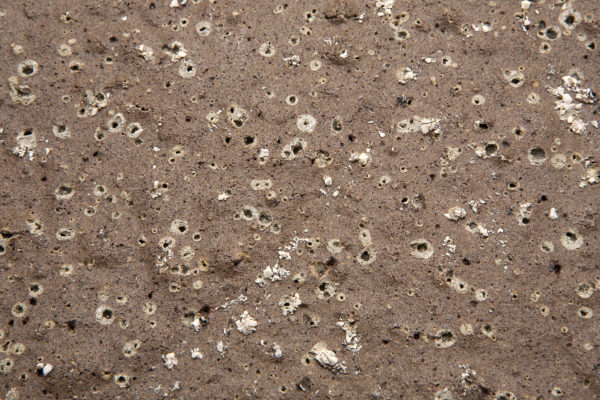 Ceramic sand - MaterialDistrict