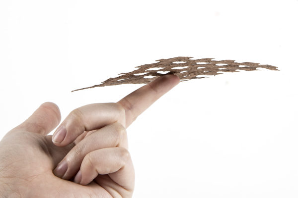 Barkskin - MaterialDistrict