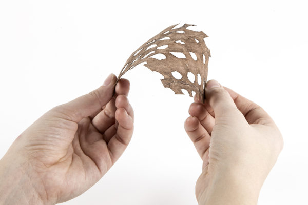 Barkskin - MaterialDistrict