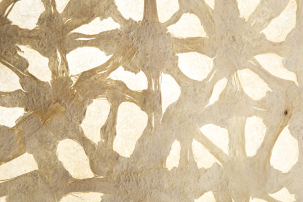 Barkskin - MaterialDistrict