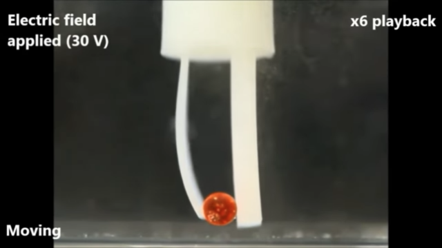 3D printed smart gel walks underwater and moves objects - MaterialDistrict