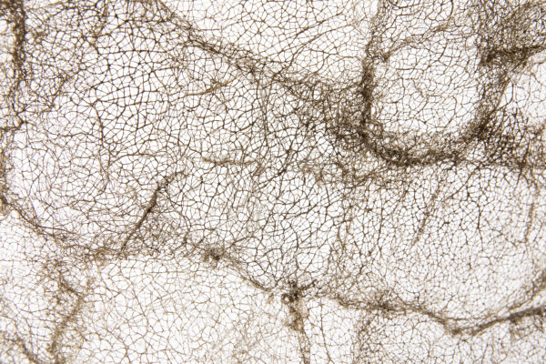 Wild silk - MaterialDistrict