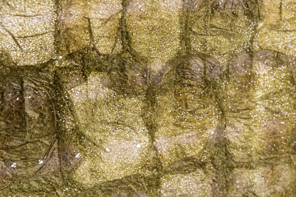 Wild silk - MaterialDistrict