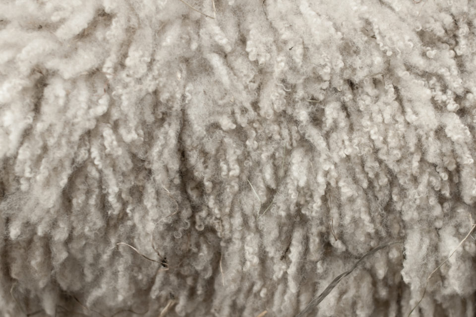 Keep your products cool with sheep’s wool insulation - MaterialDistrict