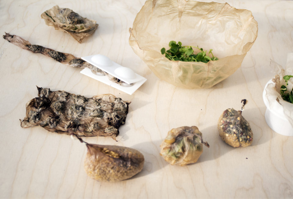 Scoby: edible packaging material grown from bacteria - MaterialDistrict