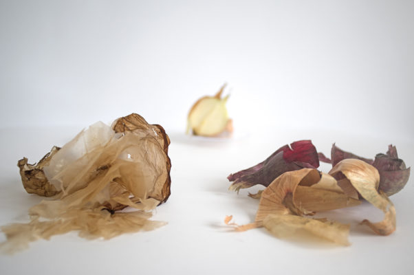 Scoby: edible packaging material grown from bacteria - MaterialDistrict