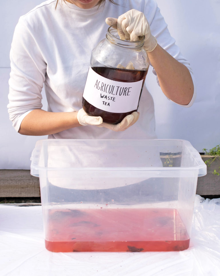 Scoby: edible packaging material grown from bacteria 5 - MaterialDistrict