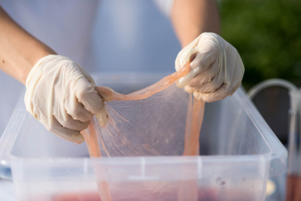 Scoby: edible packaging material grown from bacteria - MaterialDistrict