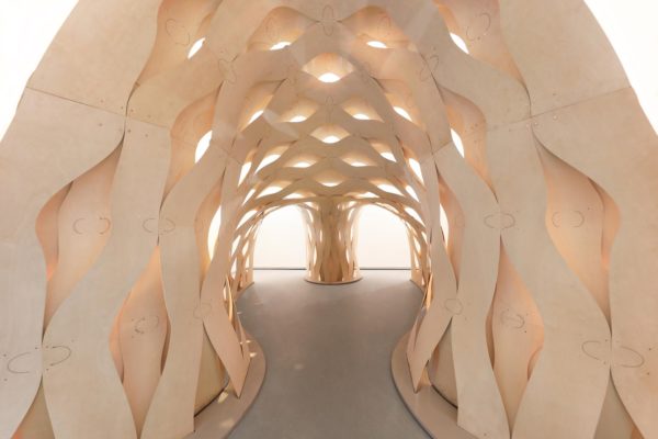 Sewn Timber Shell uses sewing to create a wooden structure ...