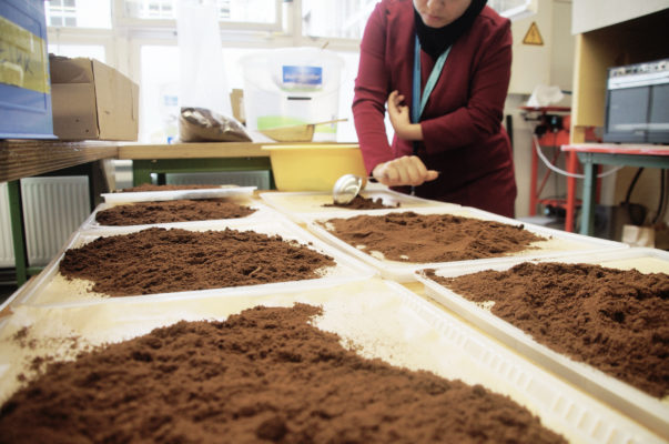 Coffee cups made from waste coffee grounds - MaterialDistrict
