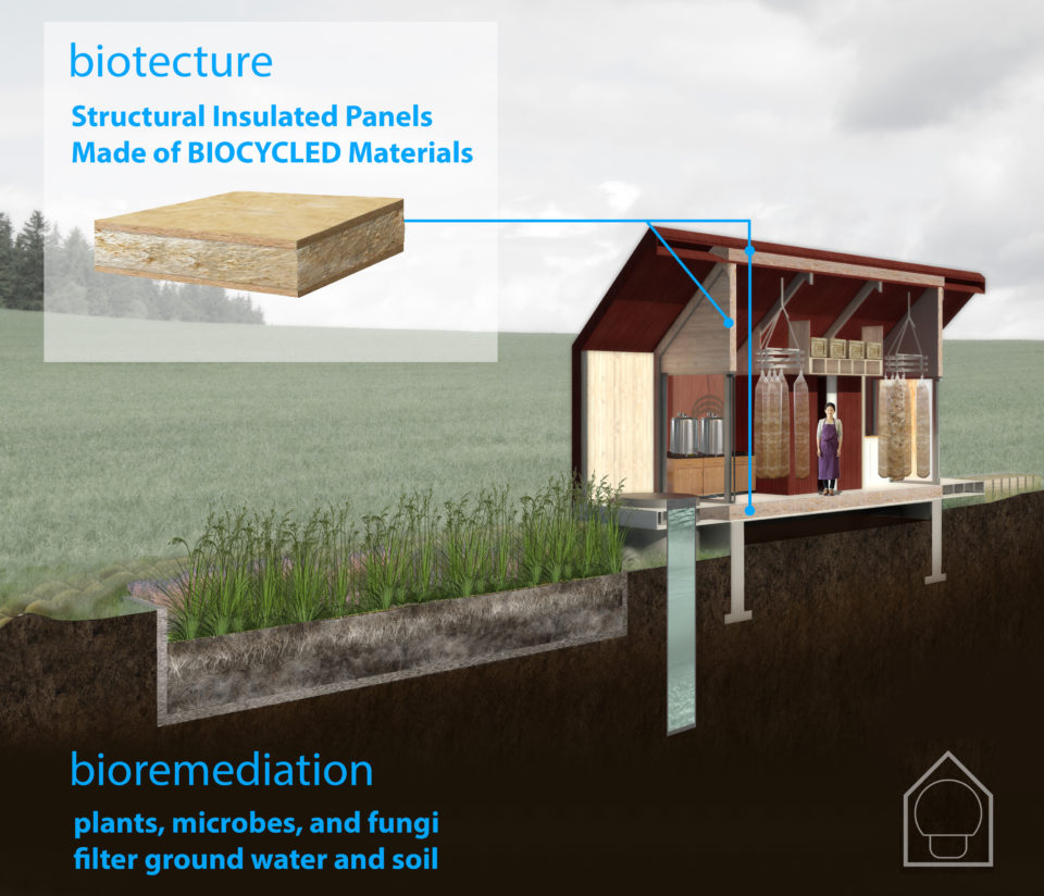Making new building materials out of demolition waste and fungi ...