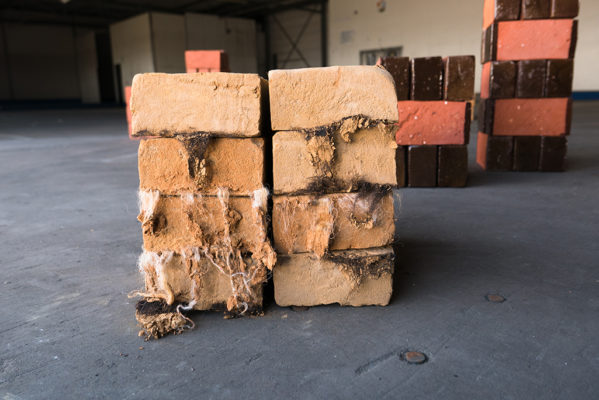 Building the Local reimagines bricks with local waste materials ...