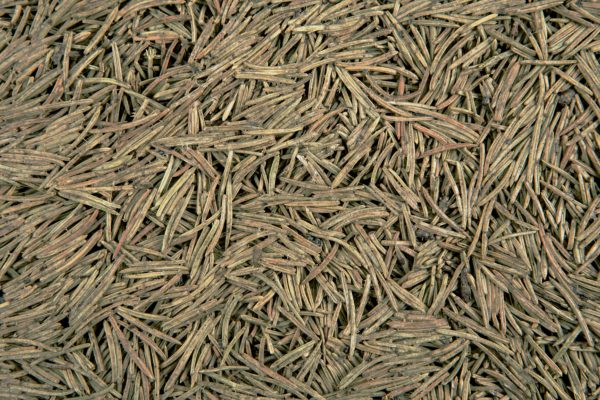 Conifer needles panels - MaterialDistrict
