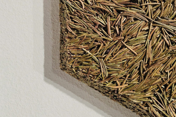 Conifer needles panels - MaterialDistrict