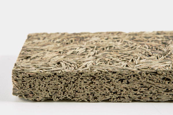 Conifer needles panels - MaterialDistrict