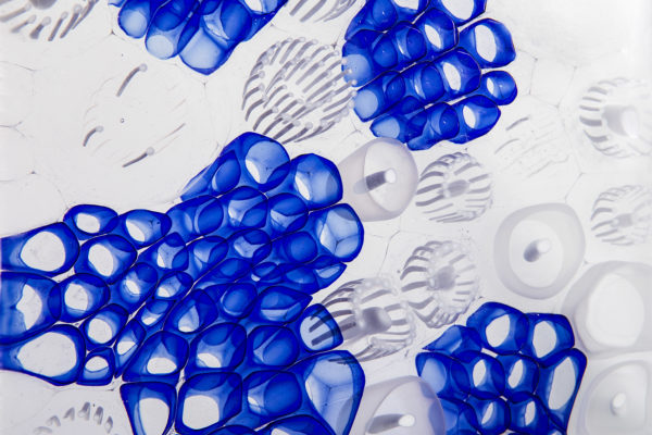 Division & Growth glass tiles - MaterialDistrict