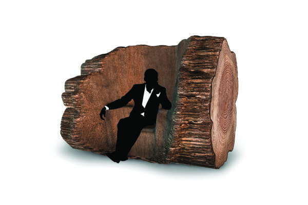 Tree Trunk Chair is formed by a living tree trunk - MaterialDistrict