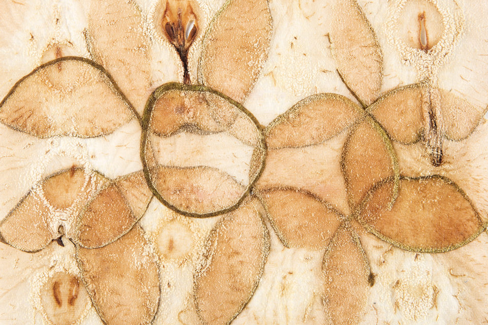 Fruit & veggie paper - MaterialDistrict