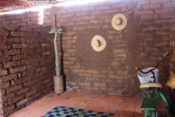 A house built with seaweed - MaterialDistrict
