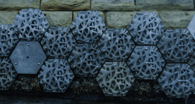 3D printed seawall is inspired by mangrove trees - MaterialDistrict