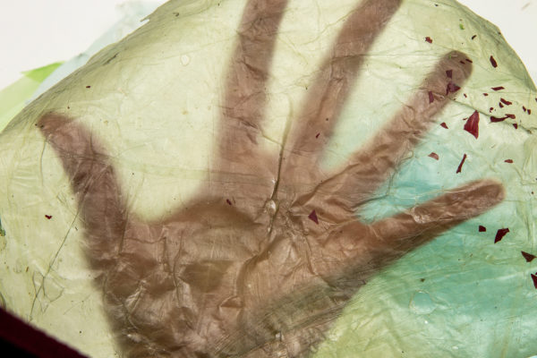 Scoby packaging material - MaterialDistrict