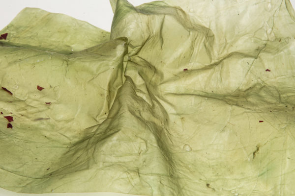 Scoby packaging material - MaterialDistrict