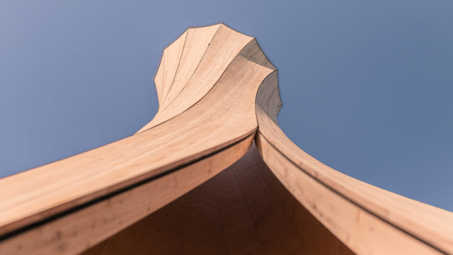 A tower made of self-shaping wood - MaterialDistrict