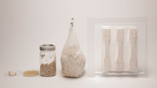 5 examples of English material design - MaterialDistrict