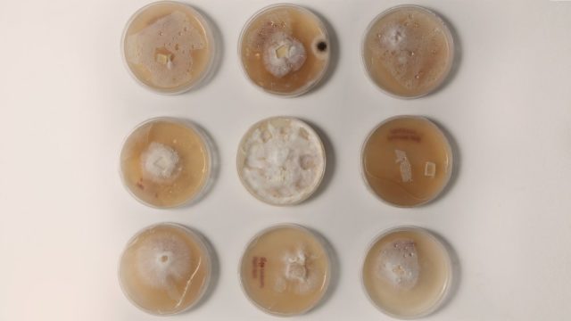 5 examples of English material design - MaterialDistrict