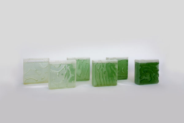 Grow your own algae in an indoor micro-algae farm - MaterialDistrict