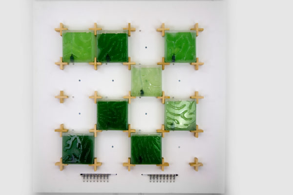 Grow your own algae in an indoor micro-algae farm - MaterialDistrict