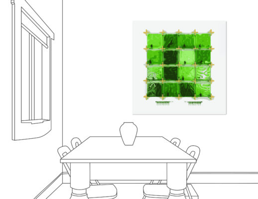 Grow your own algae in an indoor micro-algae farm - MaterialDistrict