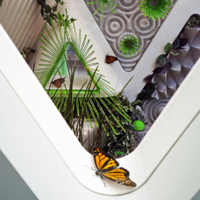 A building façade with integrated butterfly sanctuary - MaterialDistrict