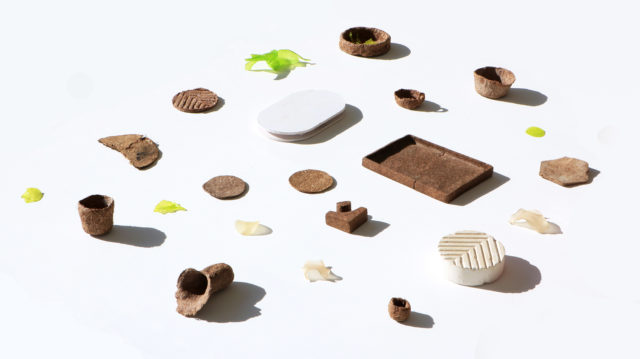A biobased and biodegradable material made from pine needles ...