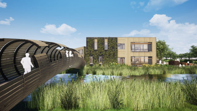 A biophilic school made of biobased materials - MaterialDistrict