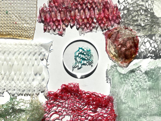 Biodegradable textile made from algae and silk protein - MaterialDistrict