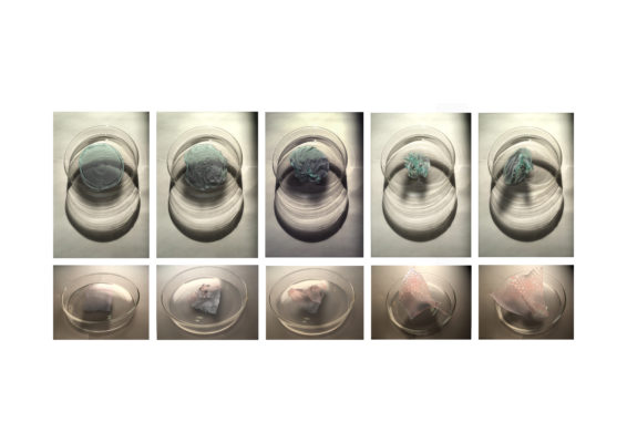 Biodegradable textile made from algae and silk protein - MaterialDistrict