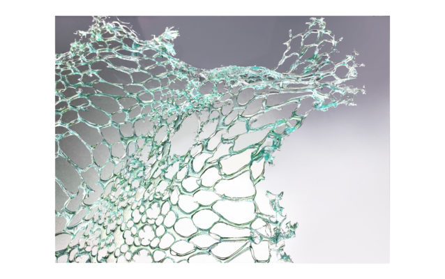 Biodegradable textile made from algae and silk protein - MaterialDistrict