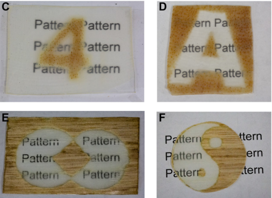 Optically transparent wood to replace glazing - MaterialDistrict