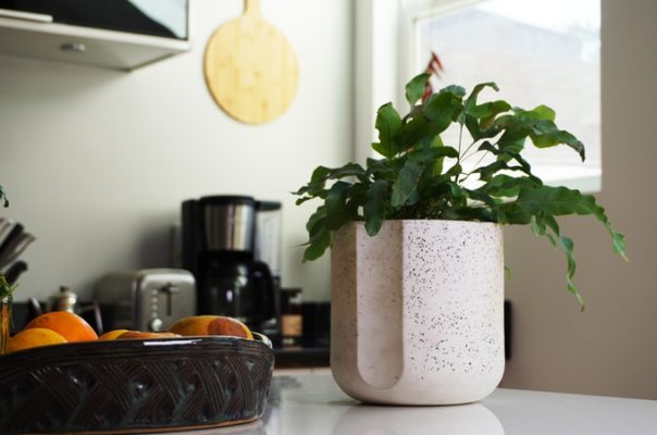 A ceramic planter made with biochar to trap carbon - MaterialDistrict