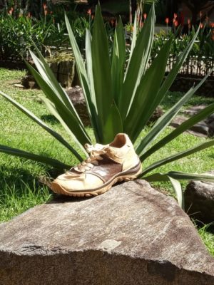 A fabric and leather alternative made of the Fique plant - MaterialDistrict