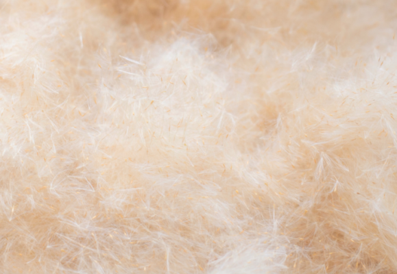 A plant-based fibre fill insulation material - MaterialDistrict