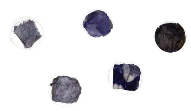 Dyeing with bacteria - MaterialDistrict