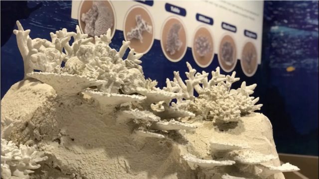 Realistic 3D printed concrete coral reefs - MaterialDistrict