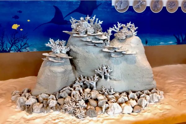 Realistic 3D printed concrete coral reefs - MaterialDistrict