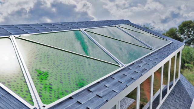 Electricity-generating and CO2-absorbing bio-panels - MaterialDistrict