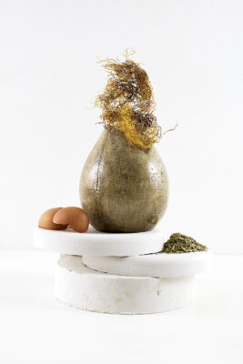 Ceramics made of egg shells and algae - MaterialDistrict